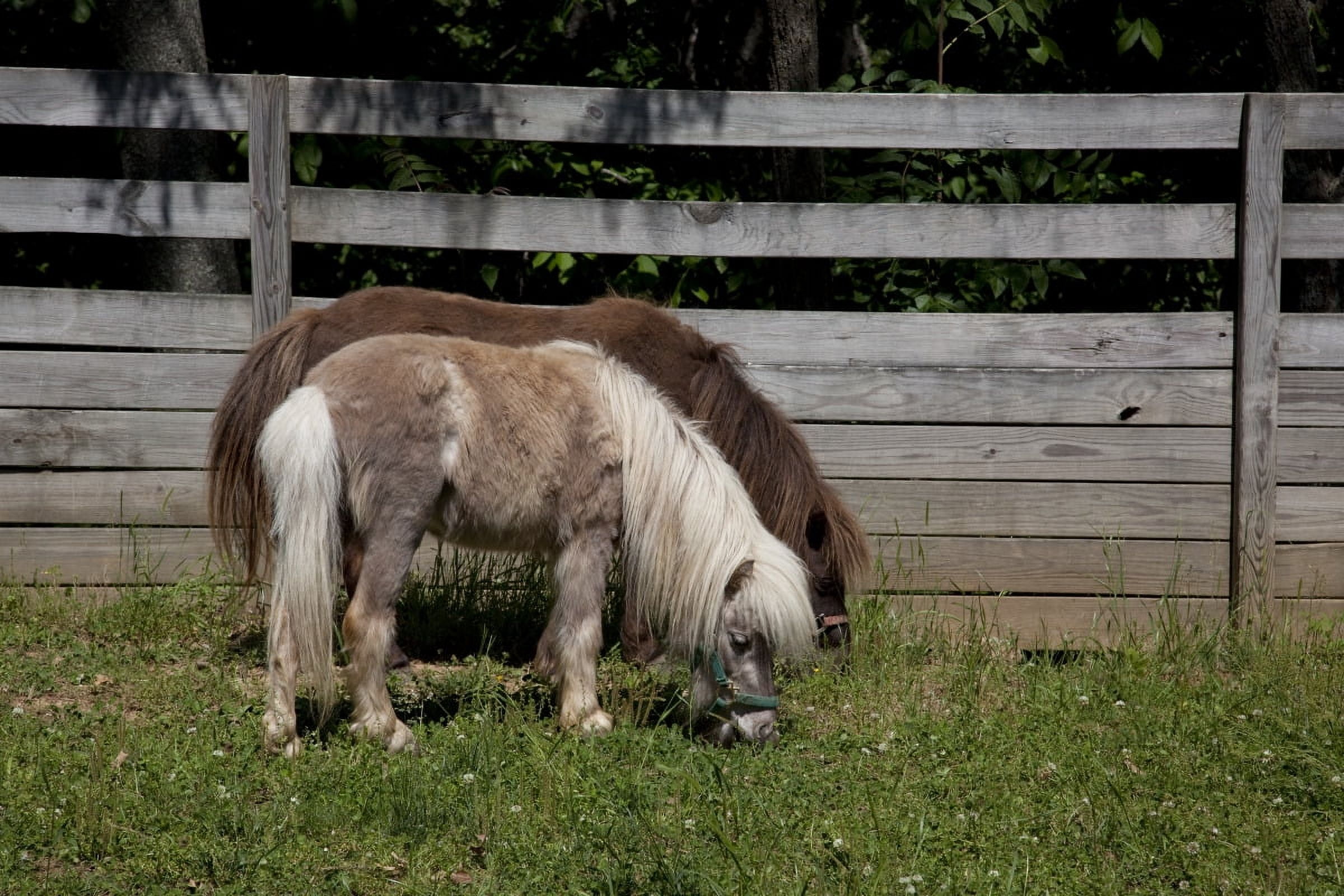 Print: Burritt On The Mountain, A Living Museum And Historic Park ...