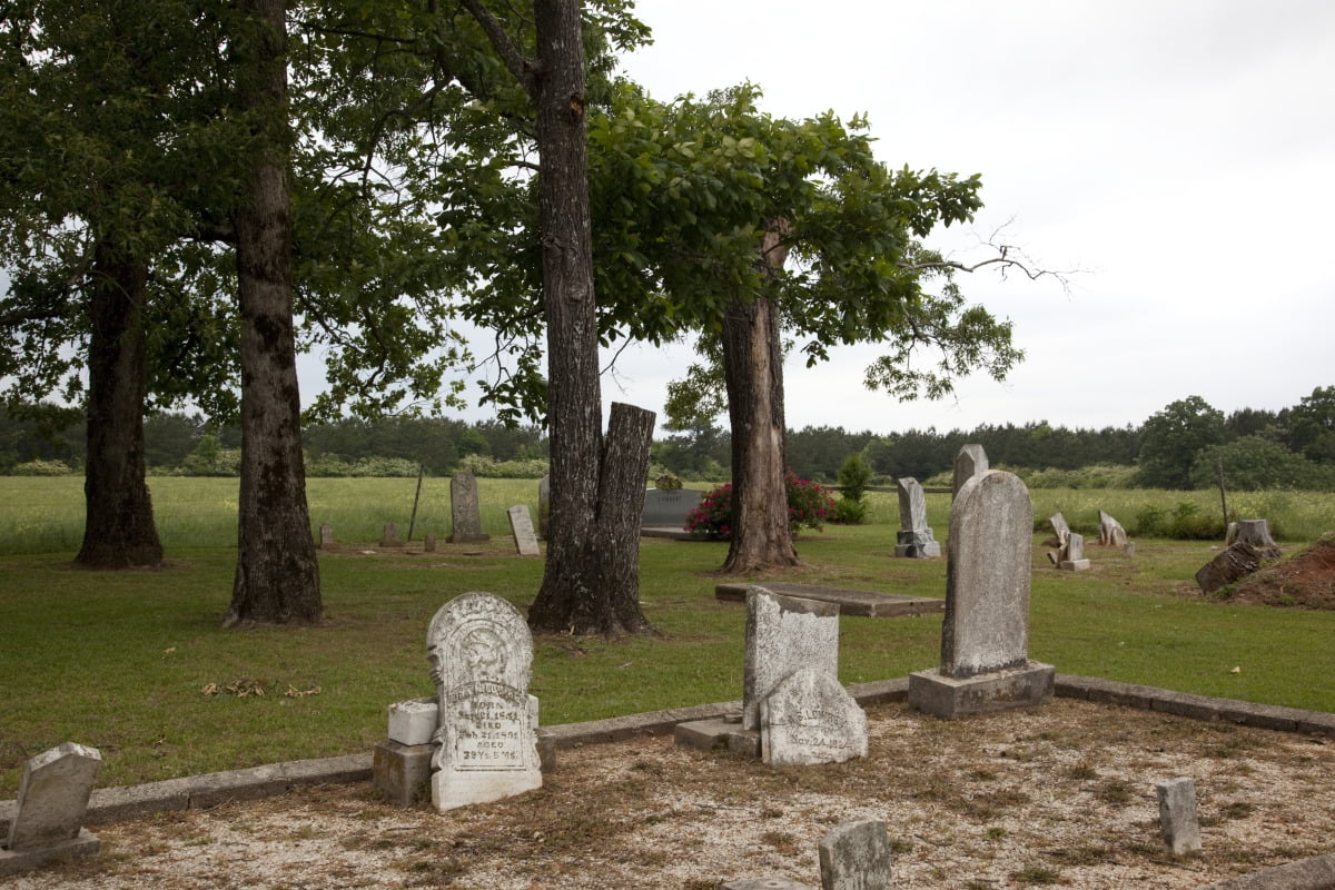 Print: Cemetery In A Cow Pasture In Rural Monroe County, Alabama, 2010 ...