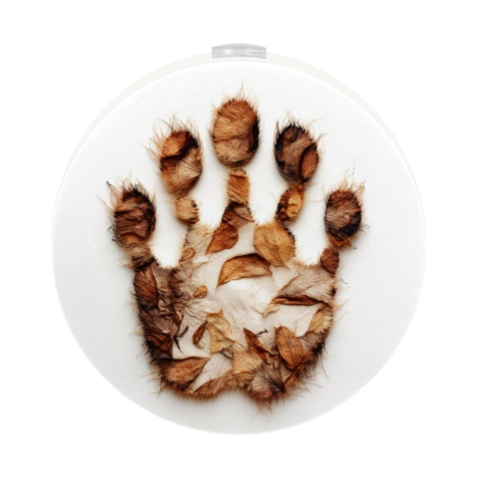 Print Circular Night Light - Induction Light Control LED Wall Light Set ...