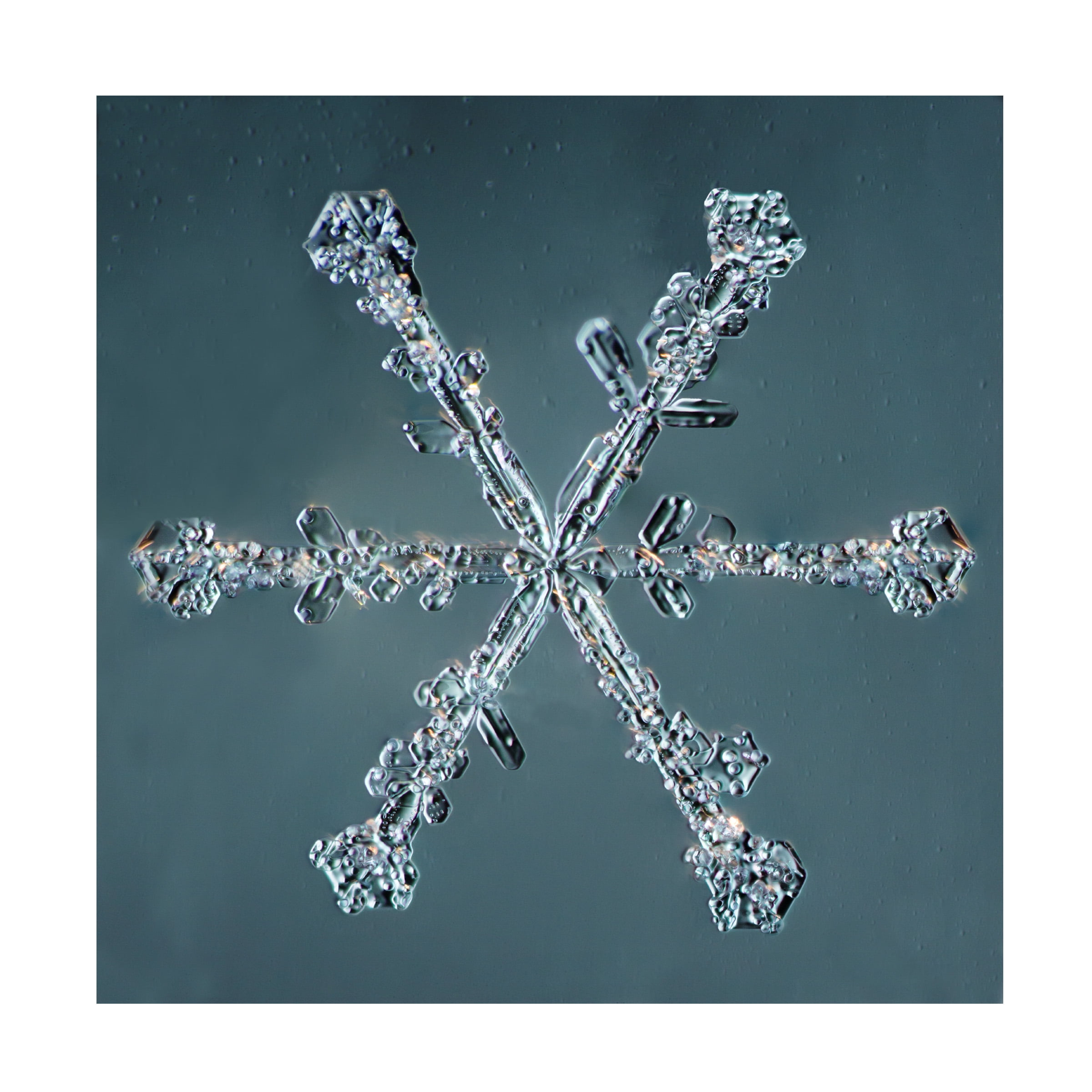 Print Collection 'Stellar Dendrite Snowflake 4' Canvas Art - Walmart.com