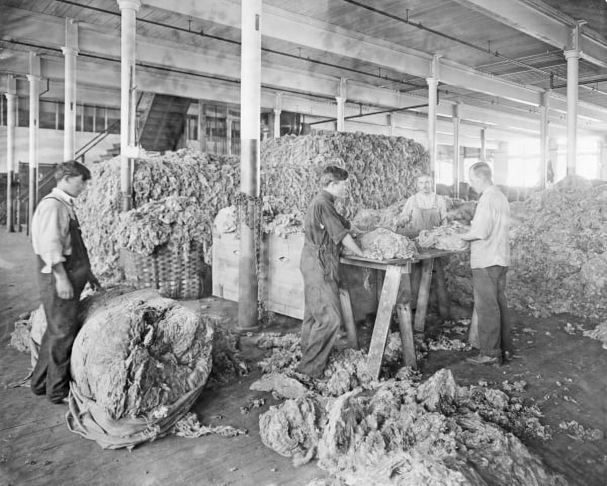 Print: Four Men Sorting And Grading Raw Wool Fleeces, American Woolen ...