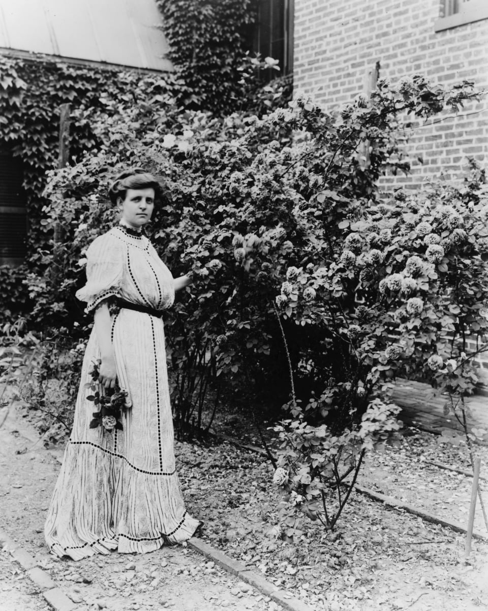 Print: Frances Benjamin Johnston, By Rose Bushes, circa 1890-1910 ...
