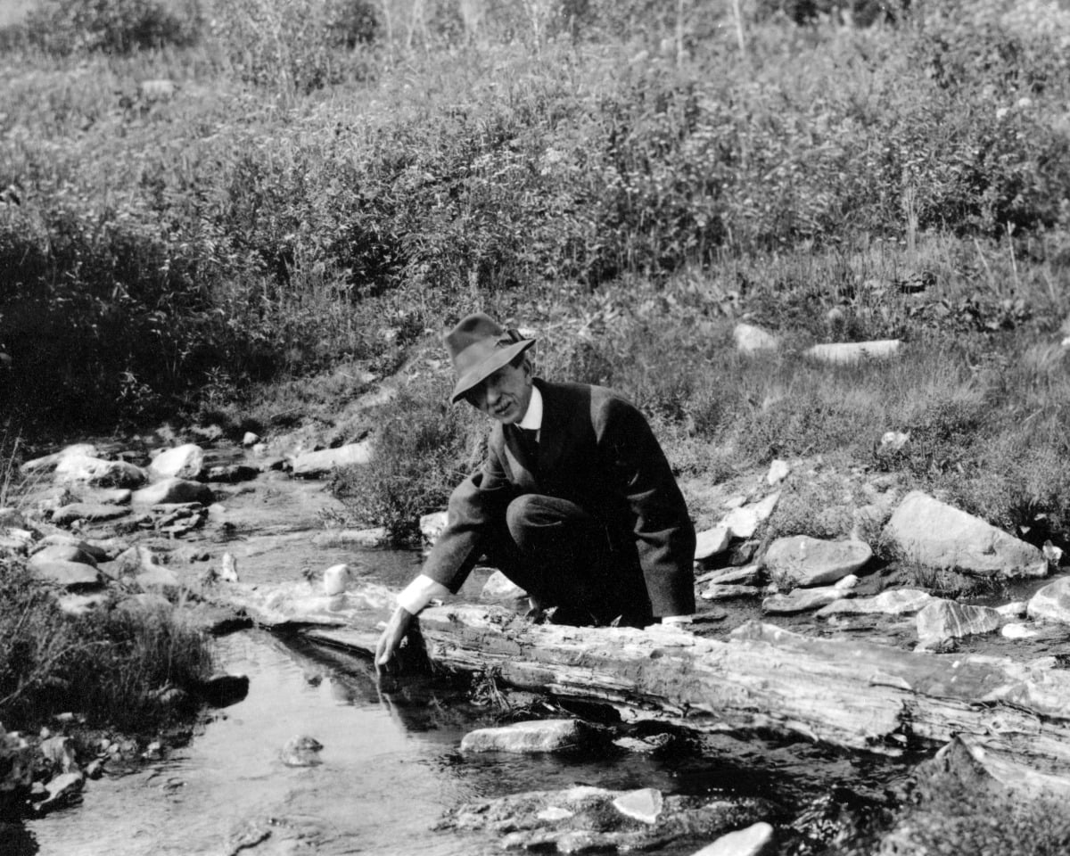 Print: Frank G. Carpenter, circa 1900 - Walmart.com