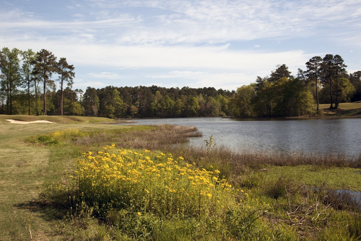 Print: Grand National Golf Course, Part Of The Robert Trent Jones Trail ...