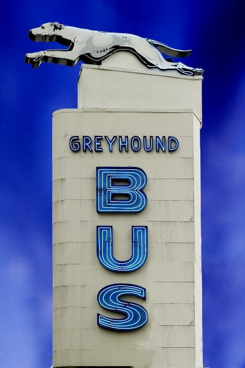Print: Greyhound Bus Sign, South Carolina - Walmart.com