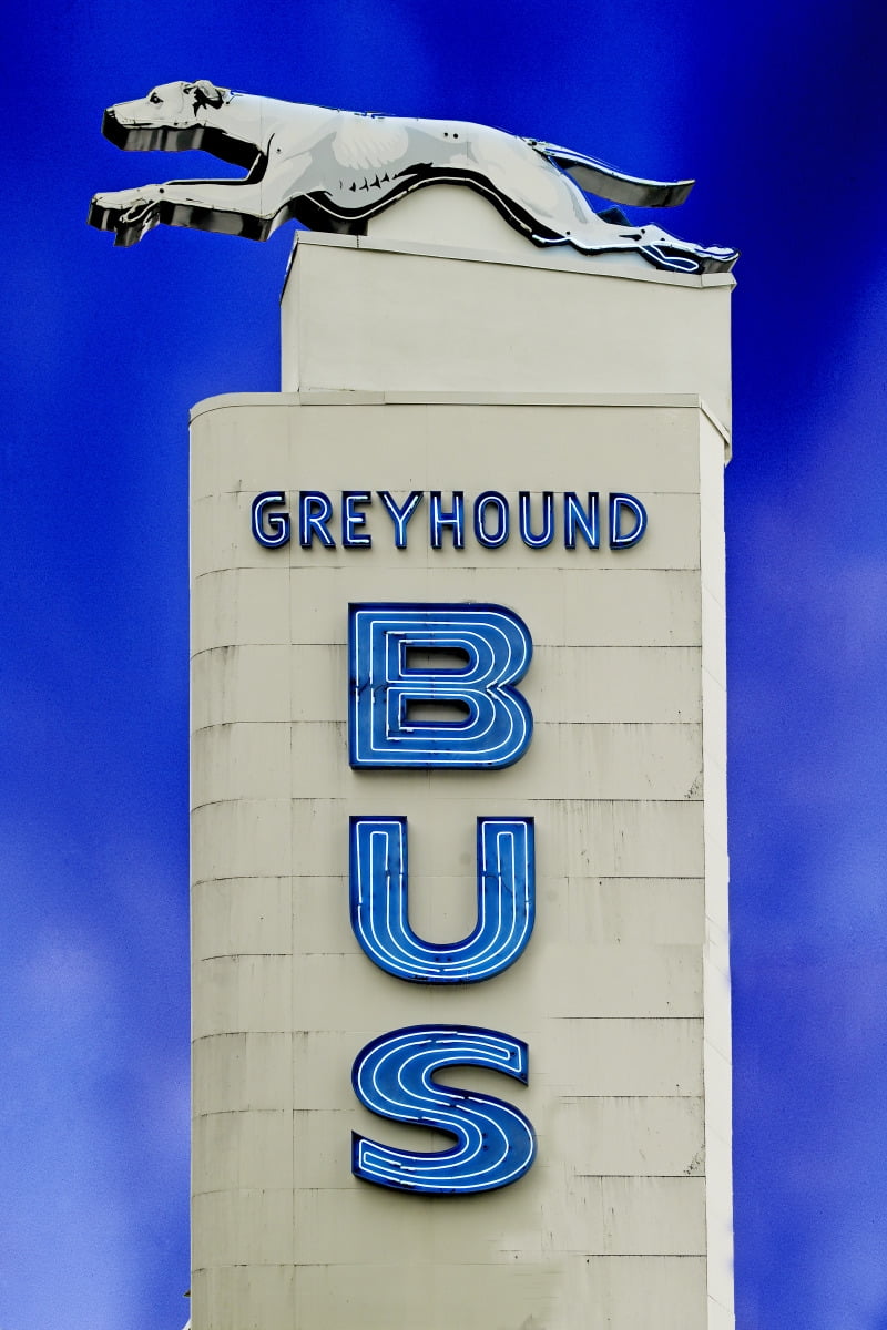 Print: Greyhound Bus Sign, South Carolina - Walmart.com