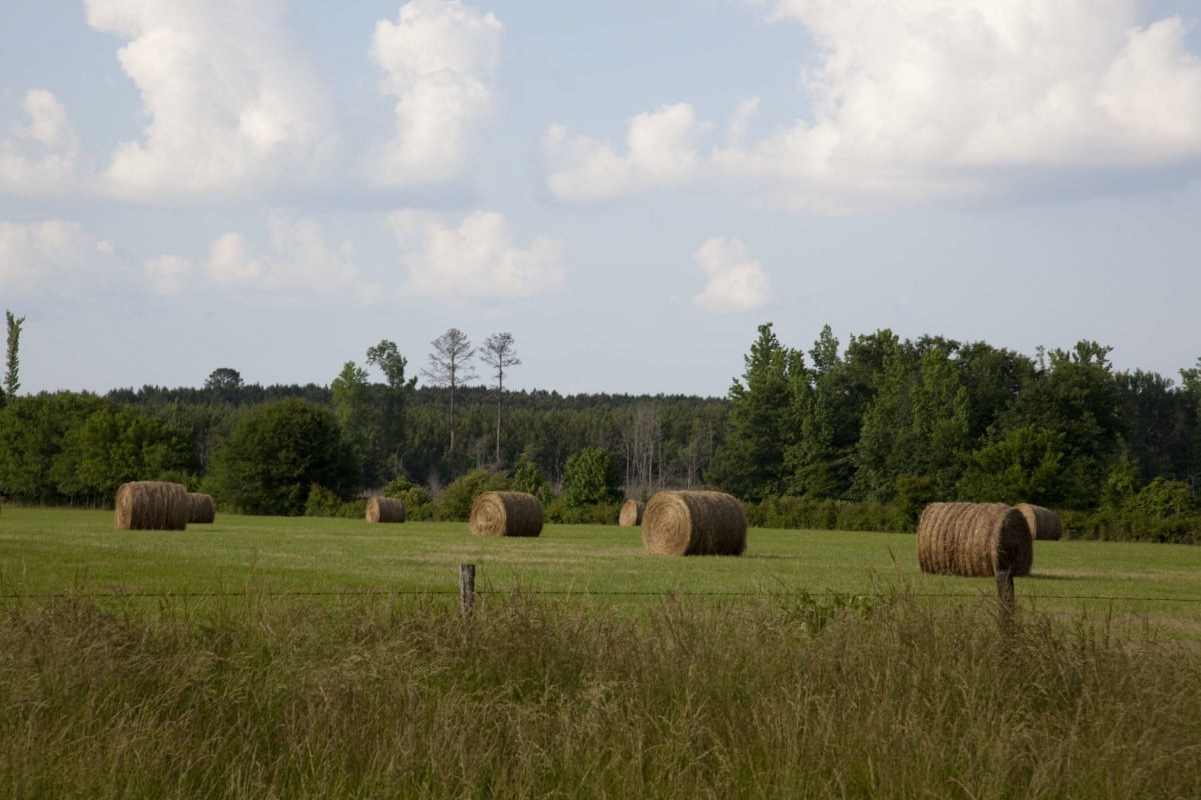 Print: Hay Bales Dot The Landscape Of The 69.2 Acre Farm Owned By ...