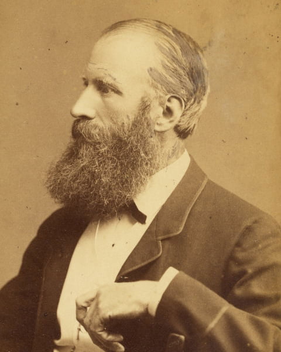 Print: Henry W. Banks Davis, R.A., circa 1880-1890 - Walmart.com