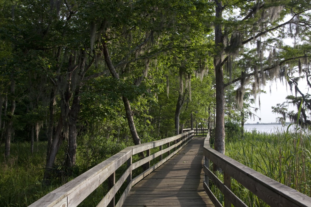 Print: Historic Blakeley State Park Located On The Tensaw River In ...