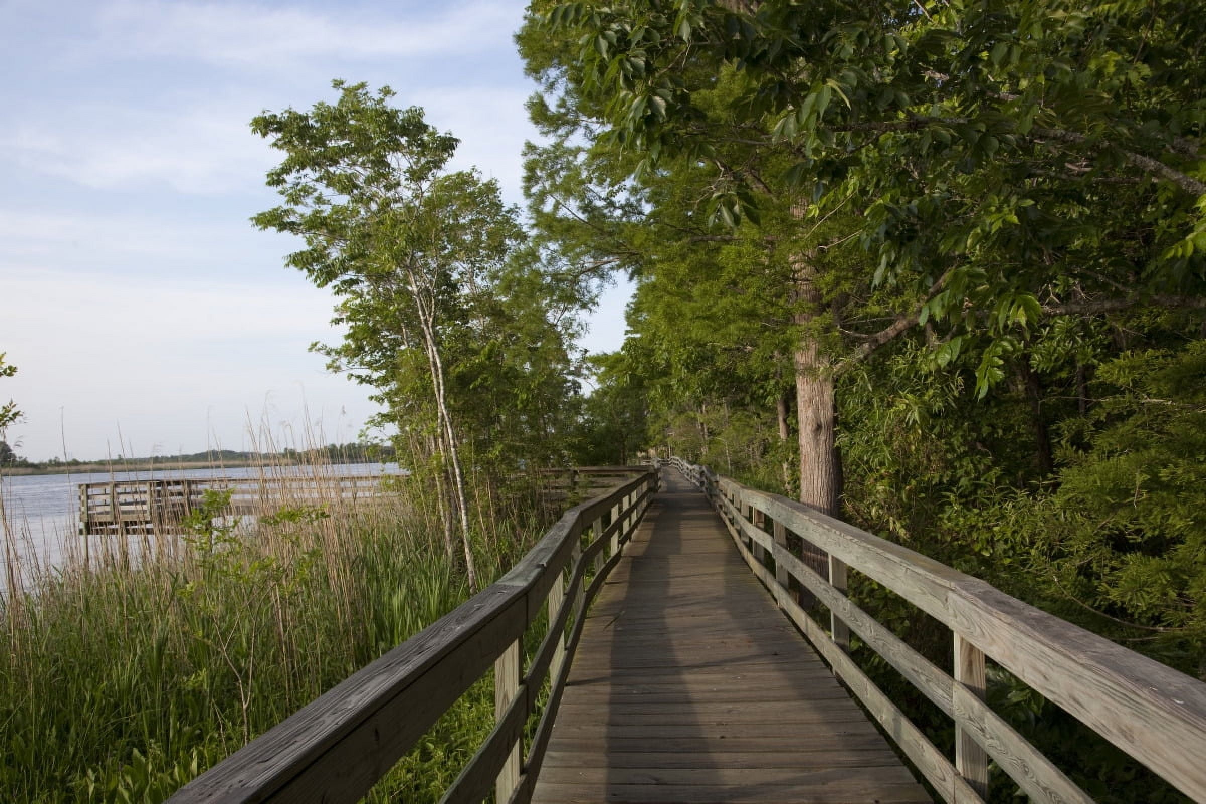 Print: Historic Blakeley State Park Located On The Tensaw River In ...
