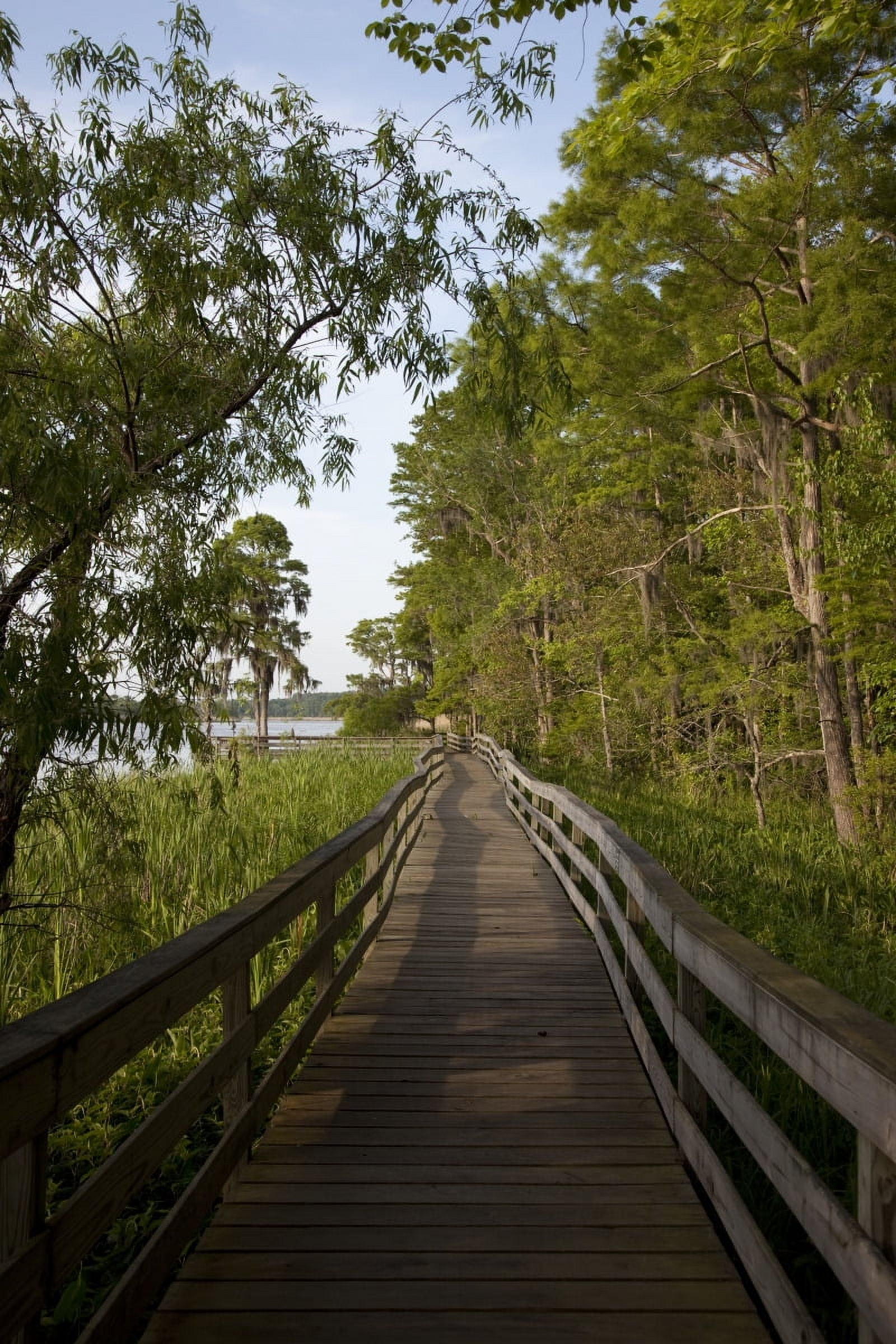 Print: Historic Blakeley State Park Located On The Tensaw River In ...