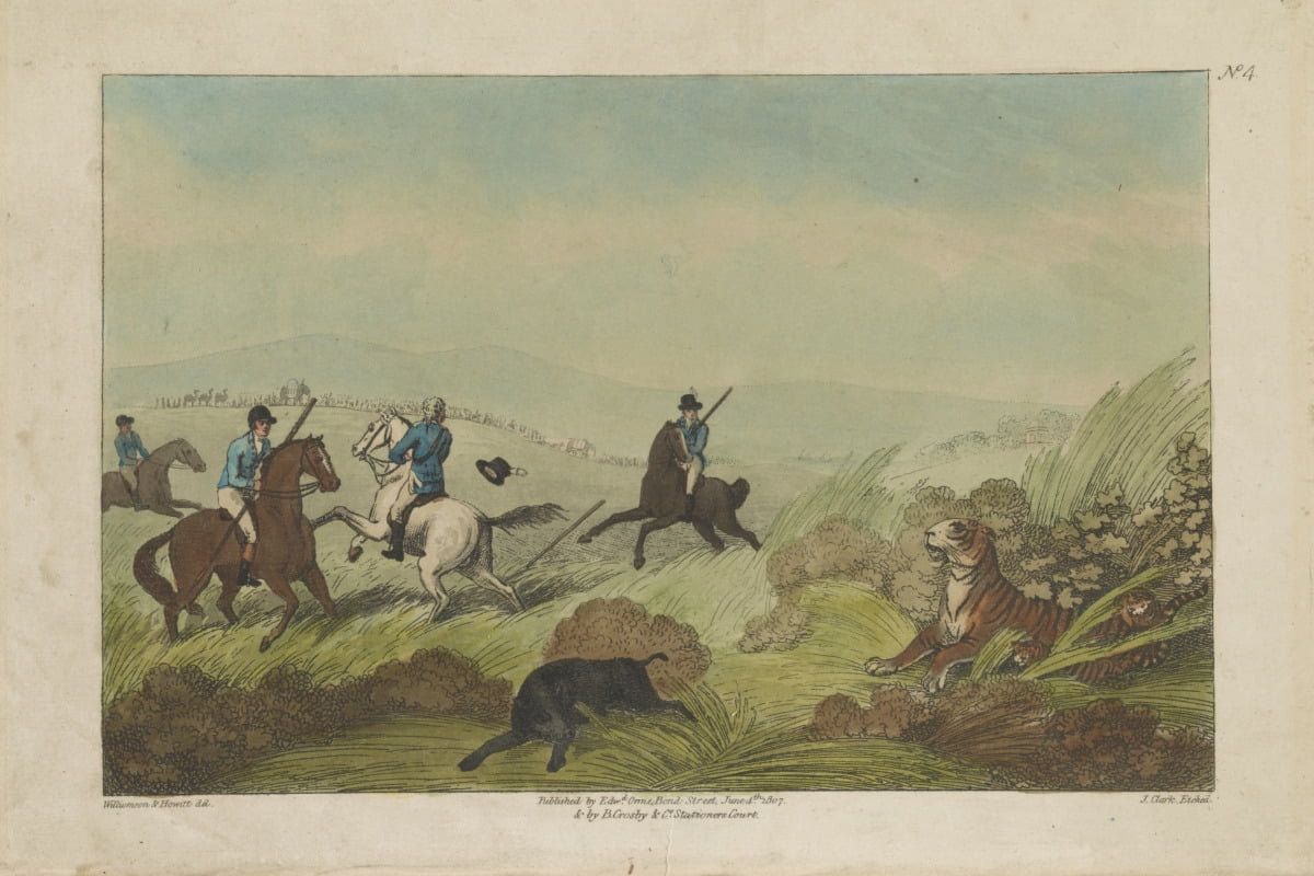 Print: Hog-Hunters Meeting By Surprise A Tigress And Her Cubs, 1807 ...