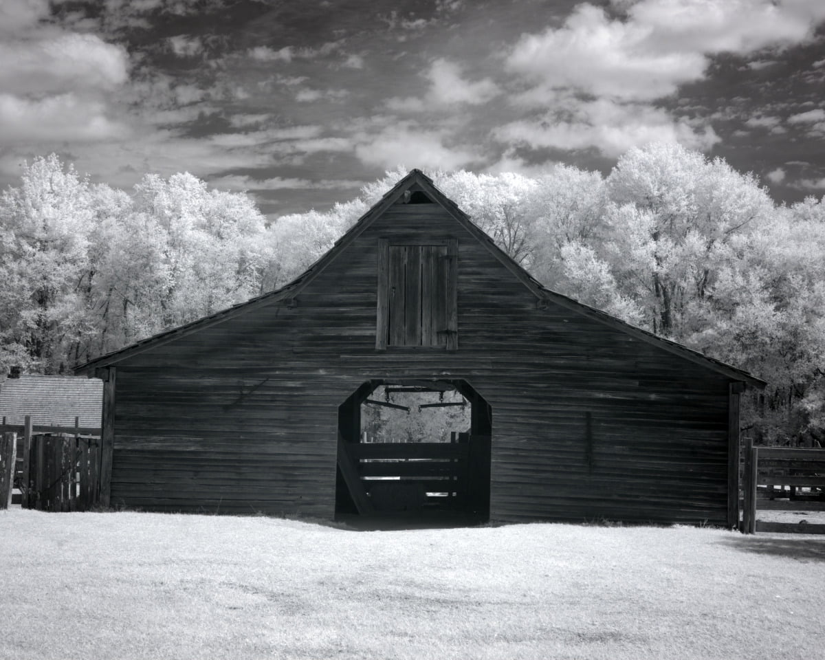 Print: Landmark Park, Near Dothan, Alabama, Is A 135-Acre Park Built To ...