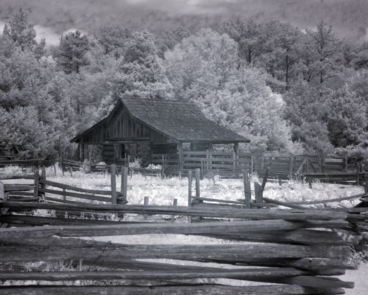 Print: Landmark Park, Near Dothan, Alabama, Is A 135-Acre Park Built To ...