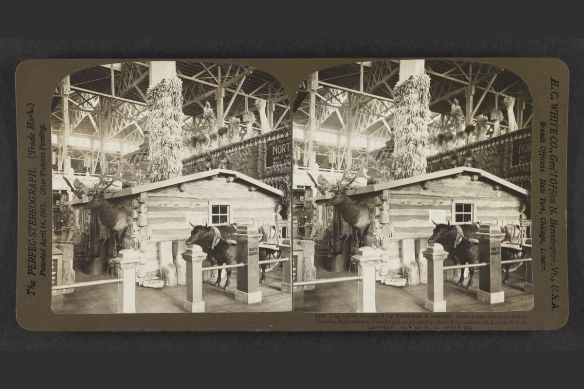 Print: Log Cabin Occupied By President Roosevelt, When A Ranchman In ...