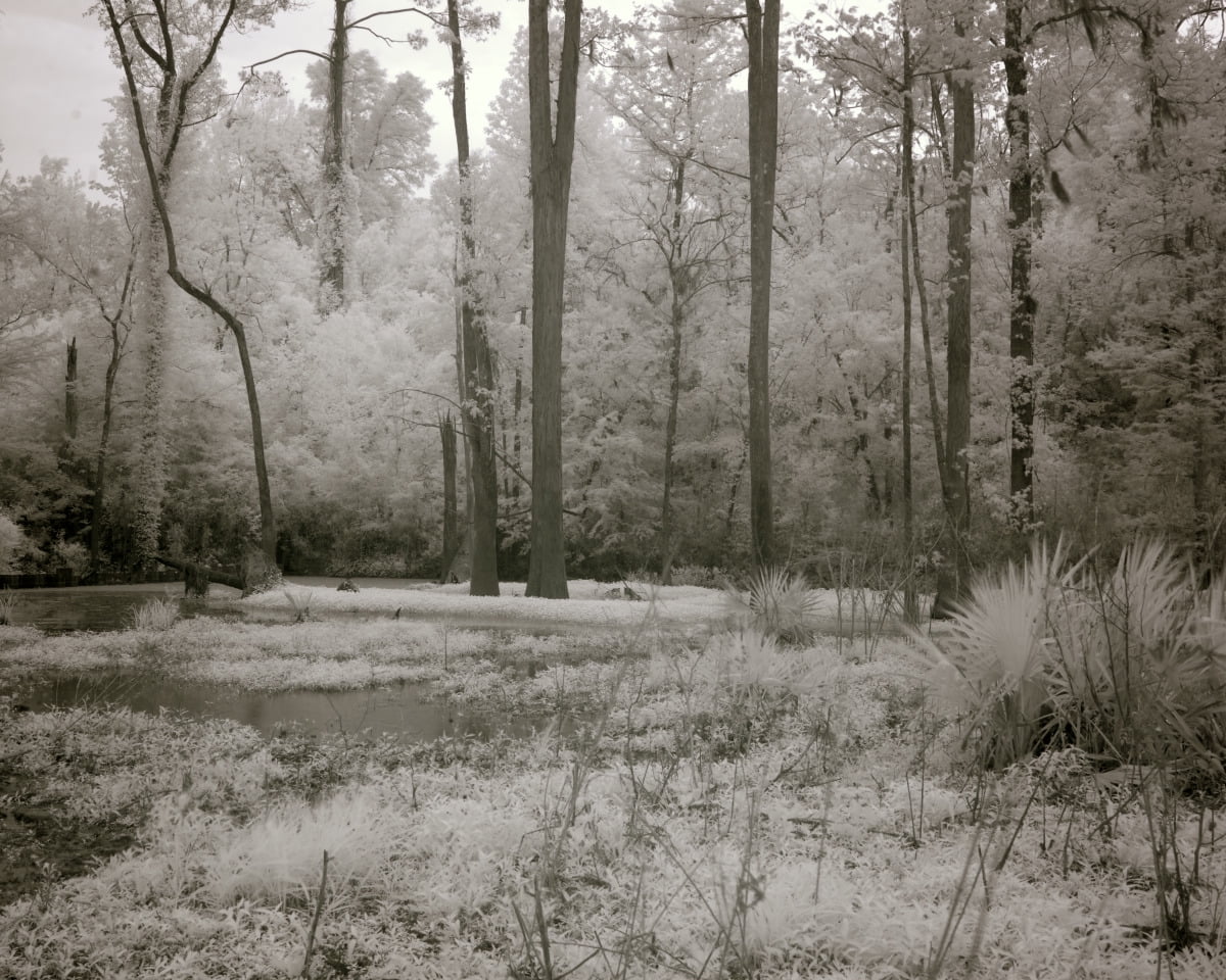 Print: Meadowbank Farm Located On Highway 84 In A Bend Of The Alabama ...