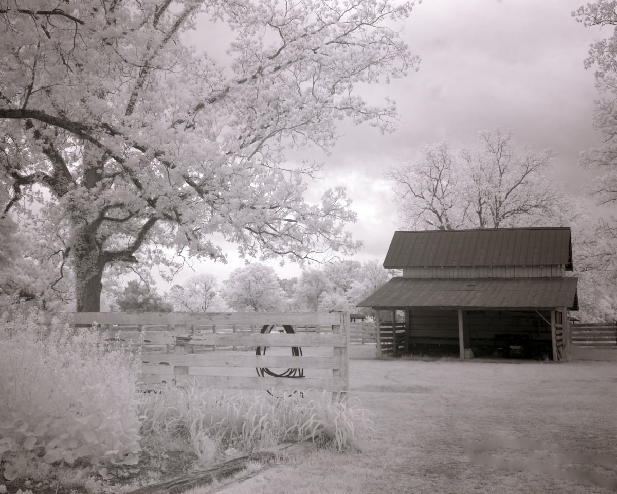 Print: Meadowbank Farm Located On Highway 84 In A Bend Of The Alabama ...