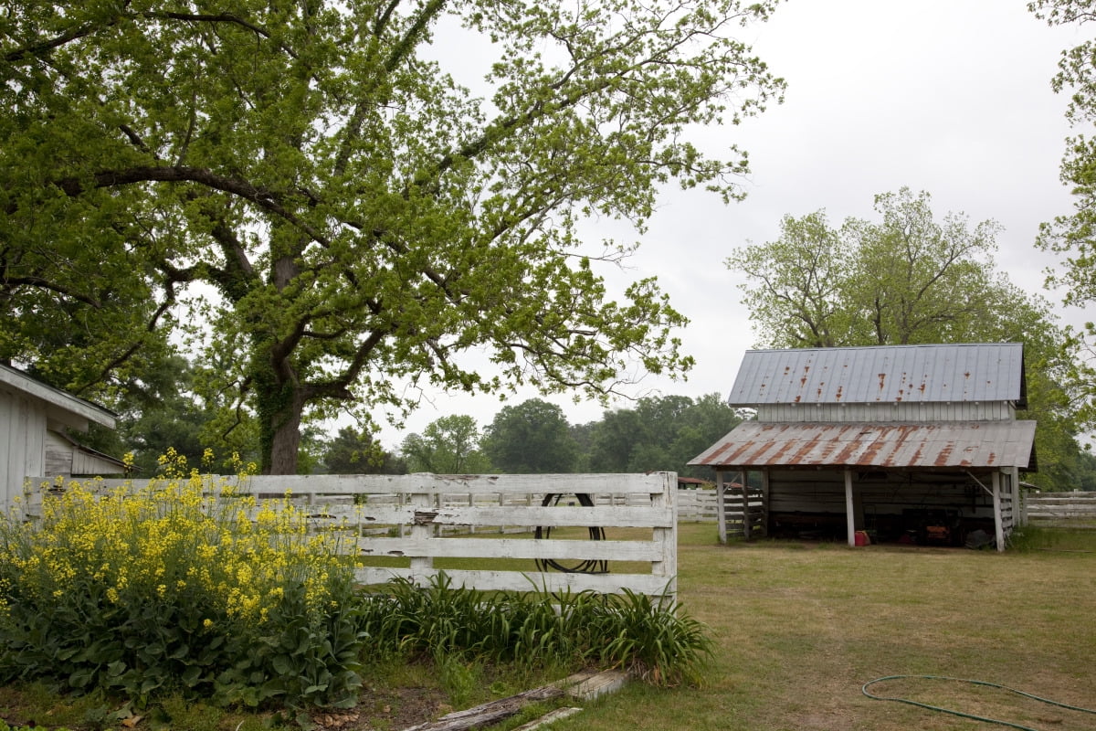 Print: Meadowbank Farm Located On Highway 84 In A Bend Of The Alabama ...