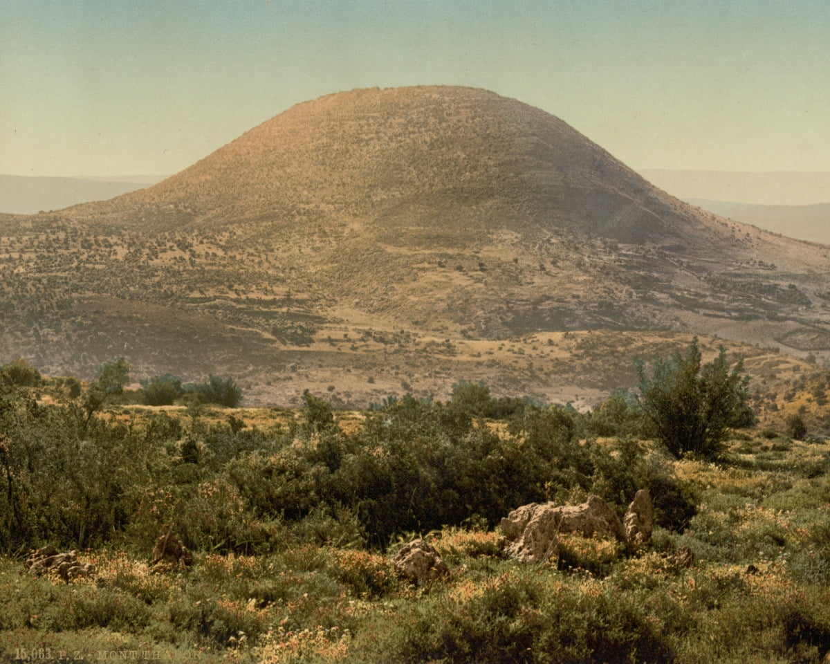 Print: Mount Tabor, Holy Land, (I.E. Israel), circa 1890 - Walmart.com