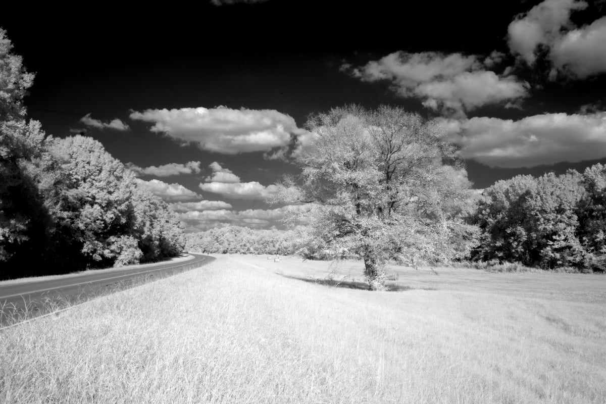 Print: Natchez Trace Parkway, Mississippi, 2008 - Walmart.com