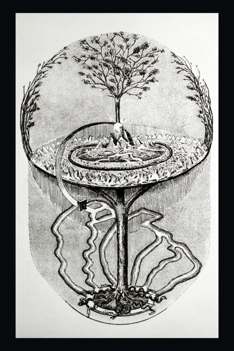 Print: Reproduction Of Print Showing Cosmic Ash Tree, circa 1915 ...