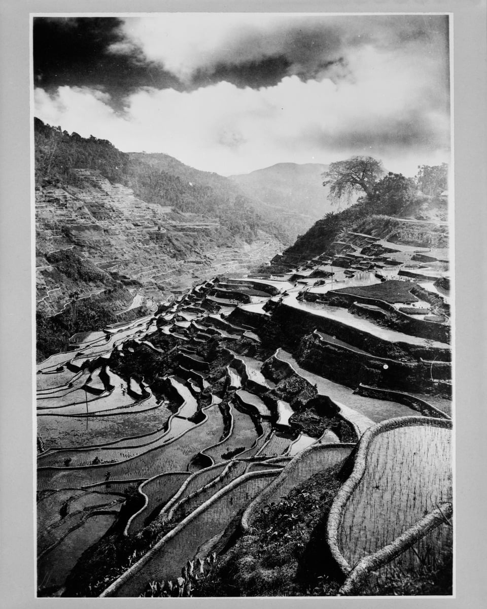 Print: Rice Terraces Carved Out Of The Hillsides Hundreds Of Years Ago ...