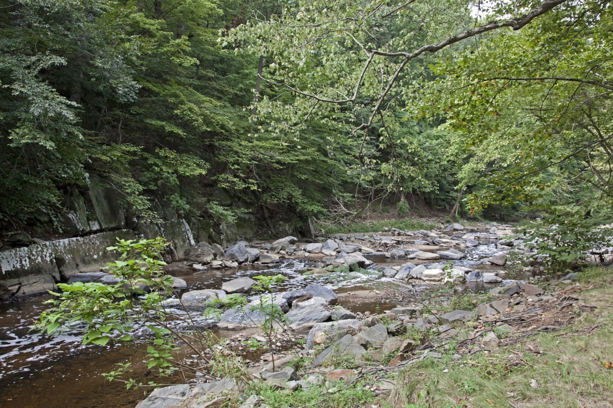 Print: Rock Creek Park, NW, Washington, D.C., 2010 - Walmart.com