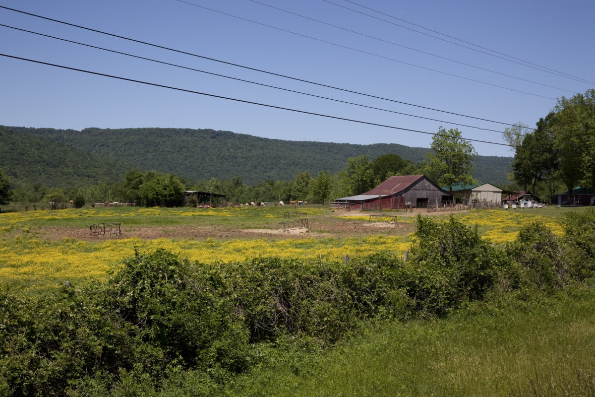 Print: Rural Alabama Scene, 2010 - Walmart.com
