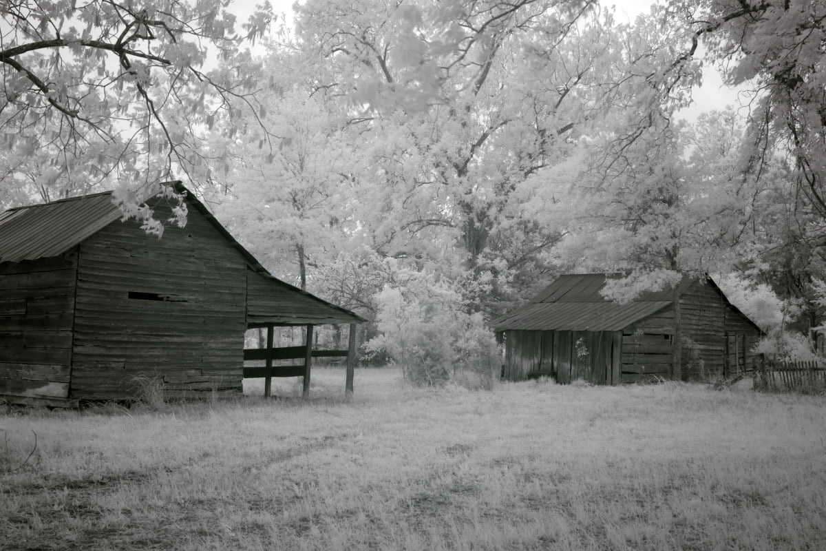 Print: Scenic Images From Rural Monroe County, Alabama, 2010 - Walmart.com