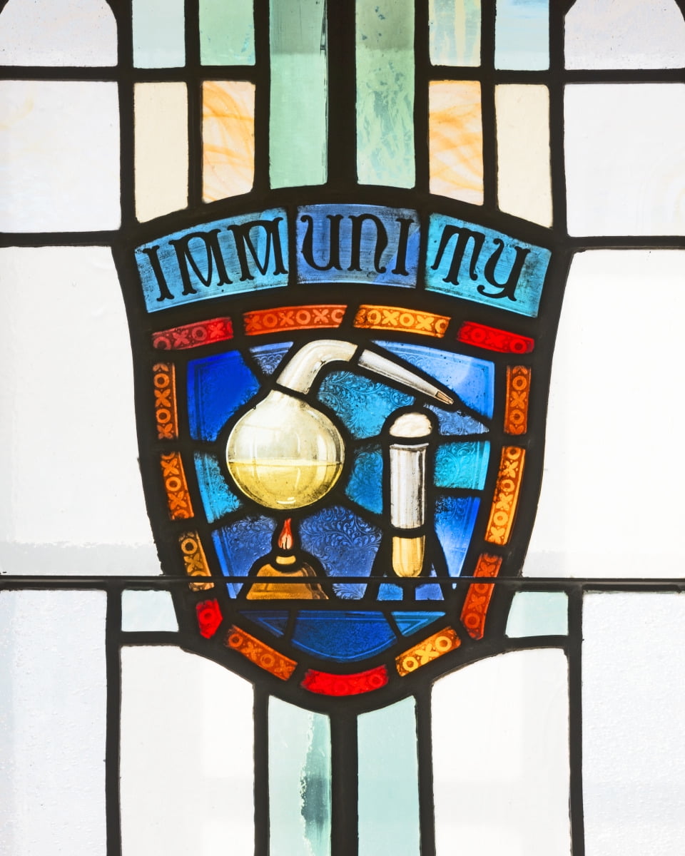 Print: Stained Glass Details At The William H. Welch Medical Library ...