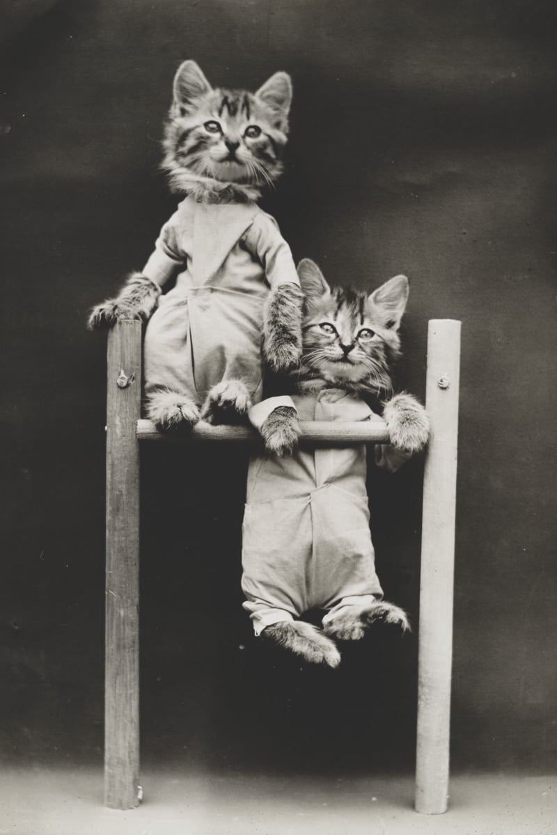 Print: The Acrobats, 1914 - Walmart.com