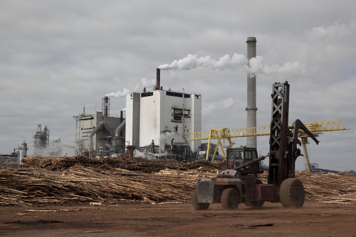 Print: The Alabama River Pulp Company And The Claiborne Mill Complex ...