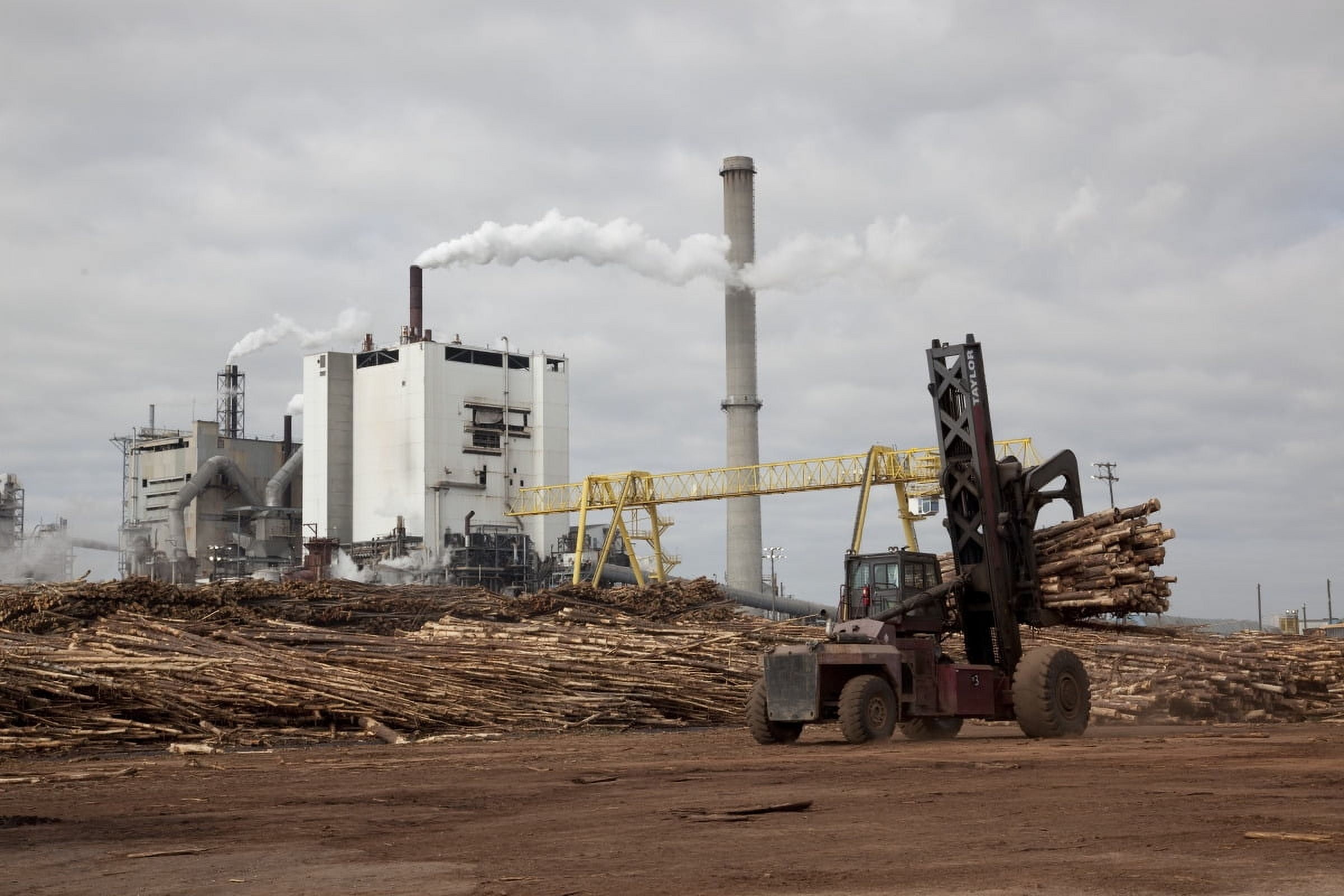 Print: The Alabama River Pulp Company And The Claiborne Mill Complex ...