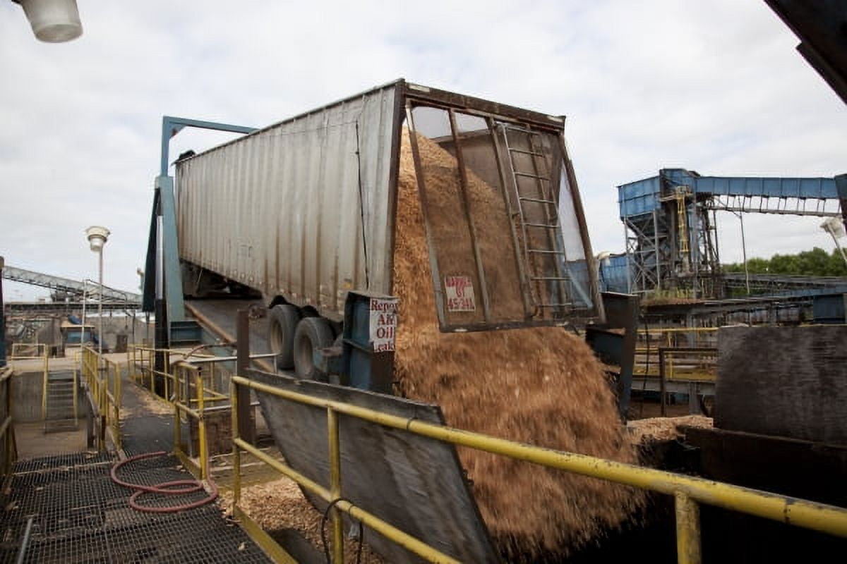 Print: The Alabama River Pulp Company And The Claiborne Mill Complex ...