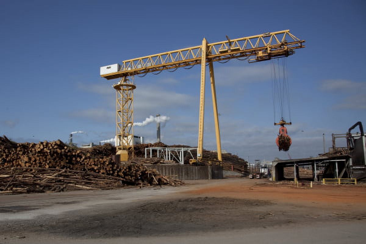 Print: The Alabama River Pulp Company And The Claiborne Mill Complex ...