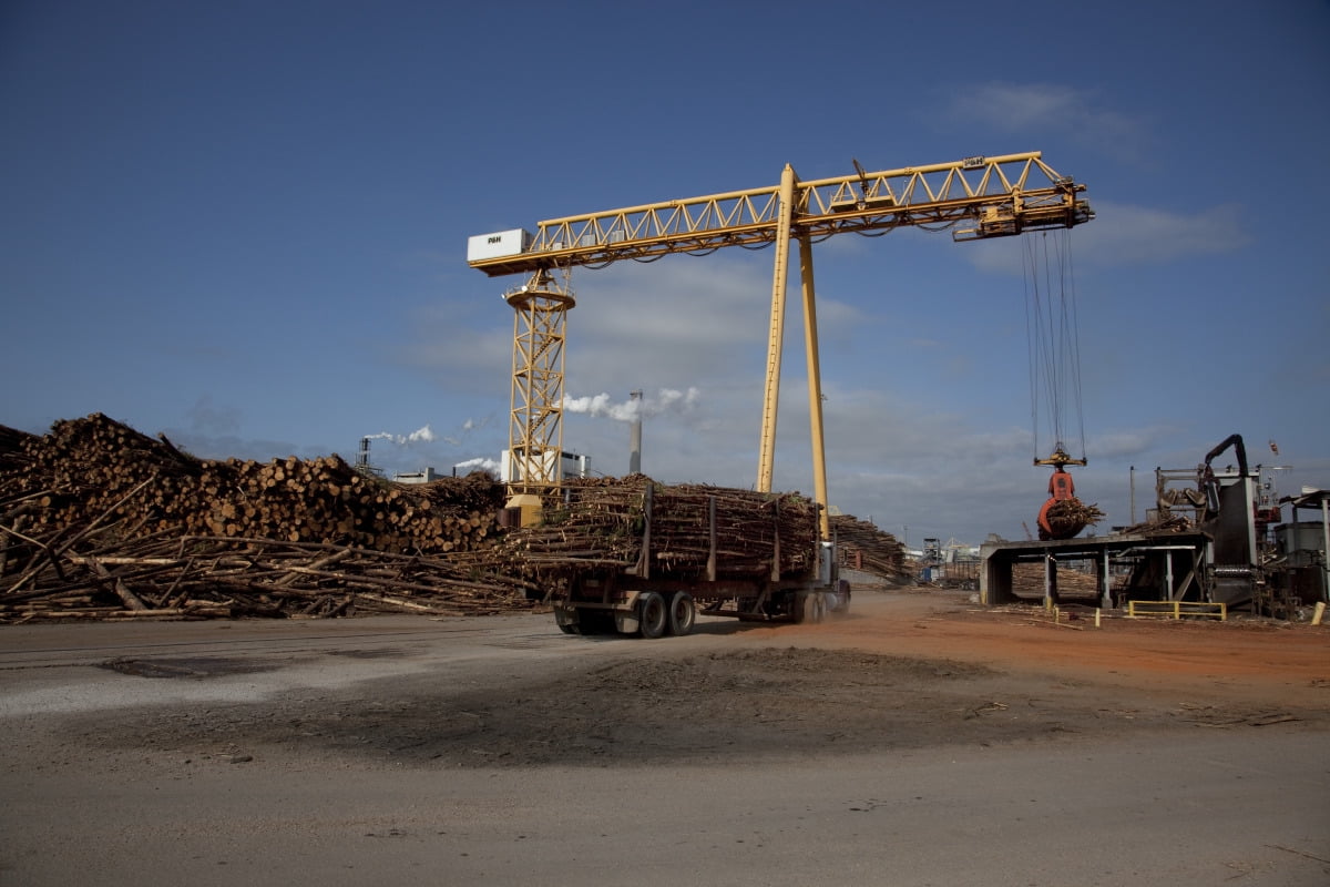Print: The Alabama River Pulp Company And The Claiborne Mill Complex ...