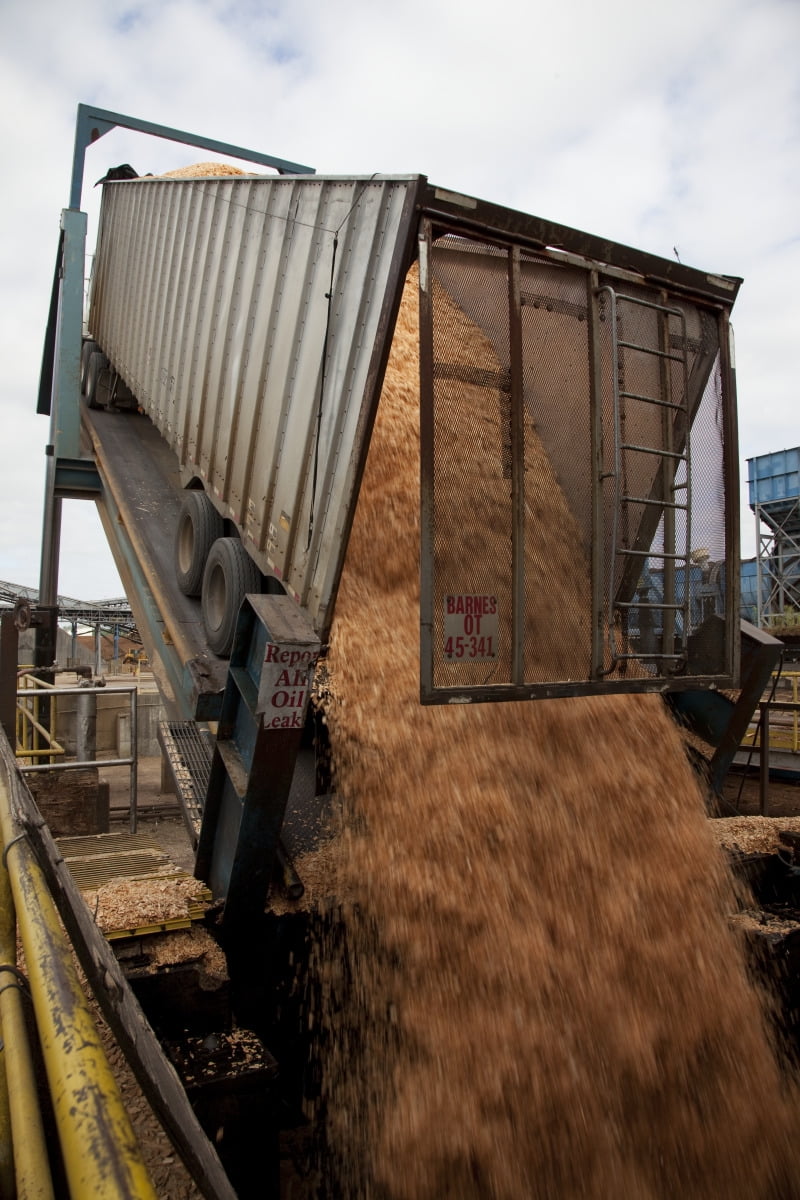 Print: The Alabama River Pulp Company And The Claiborne Mill Complex ...