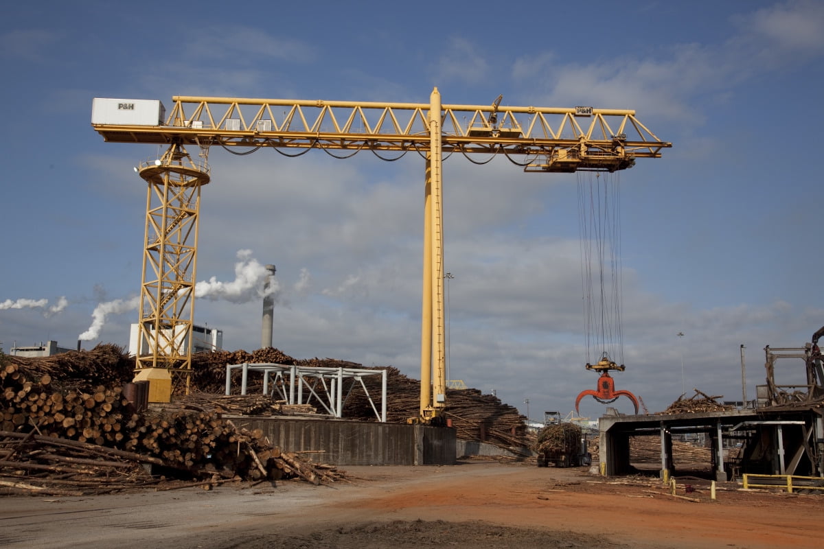 Print: The Alabama River Pulp Company And The Claiborne Mill Complex ...
