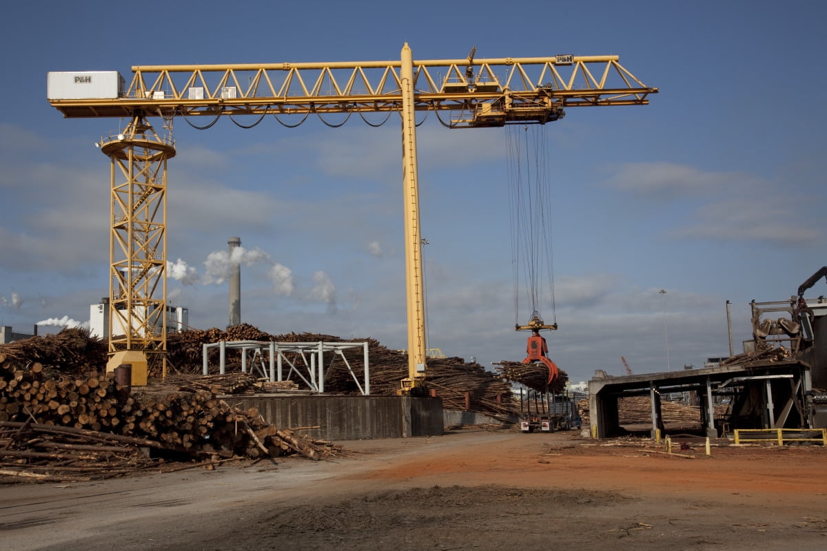 Print: The Alabama River Pulp Company And The Claiborne Mill Complex ...