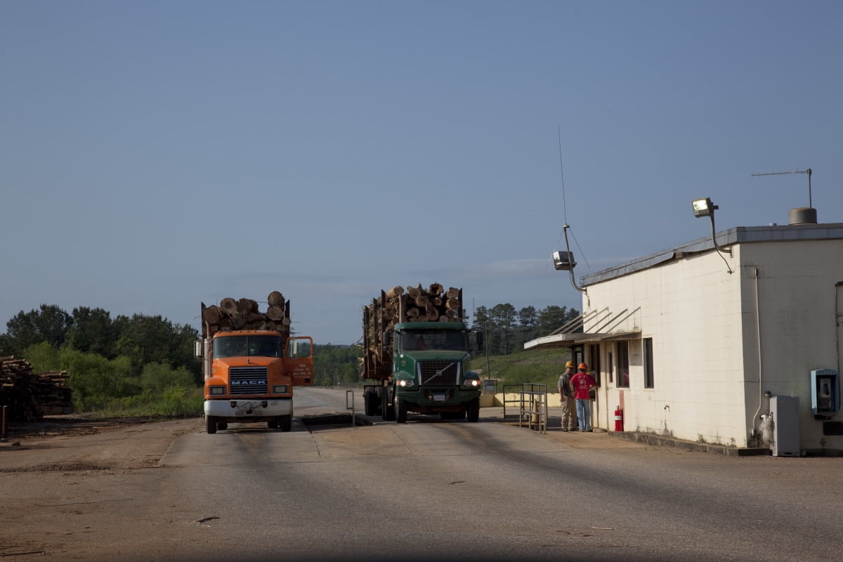 Print: The Alabama River Pulp Company And The Claiborne Mill Complex ...