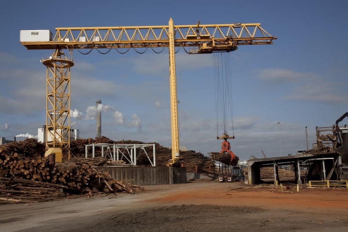 Print: The Alabama River Pulp Company And The Claiborne Mill Complex ...