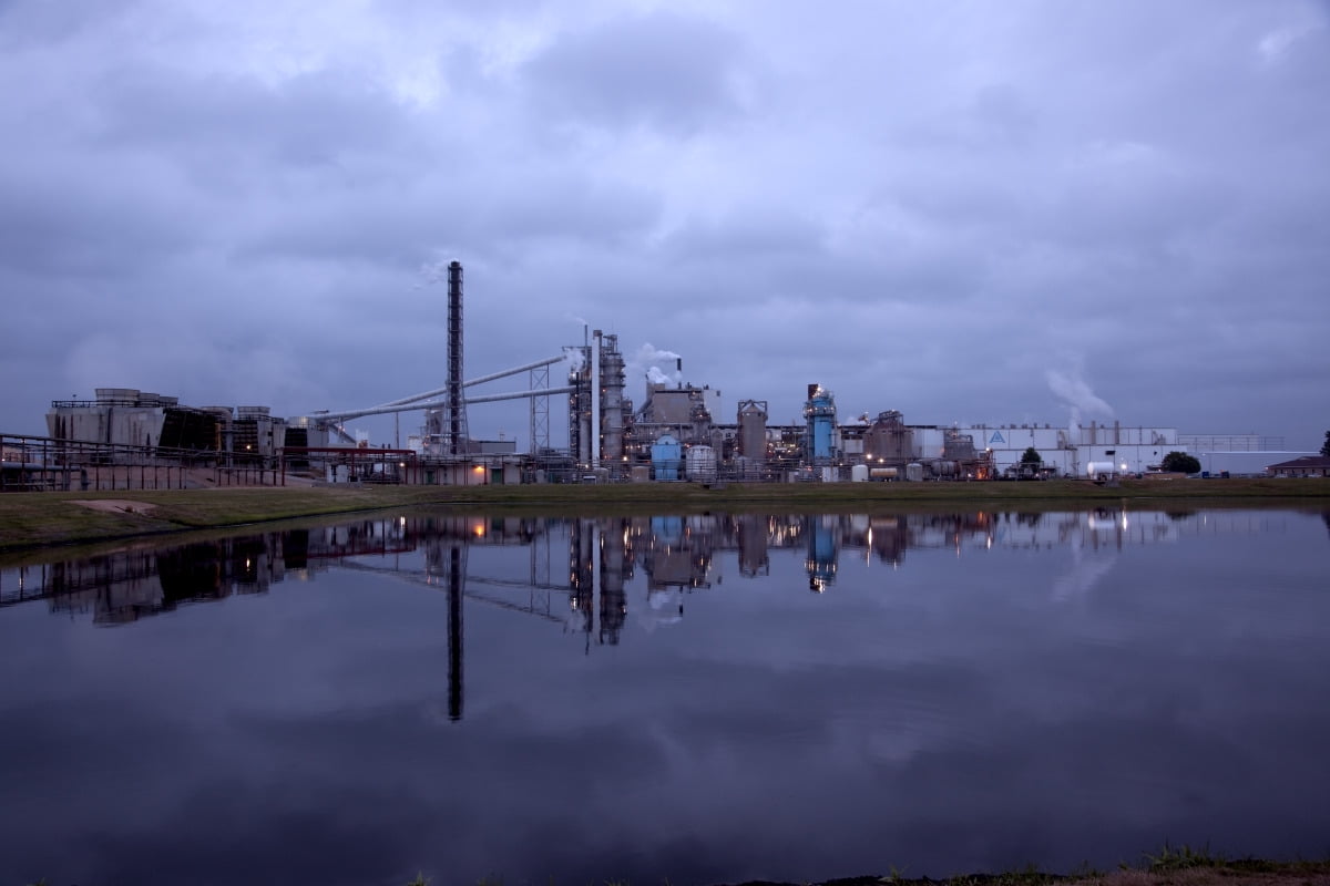 Print: The Alabama River Pulp Company And The Claiborne Mill Complex ...