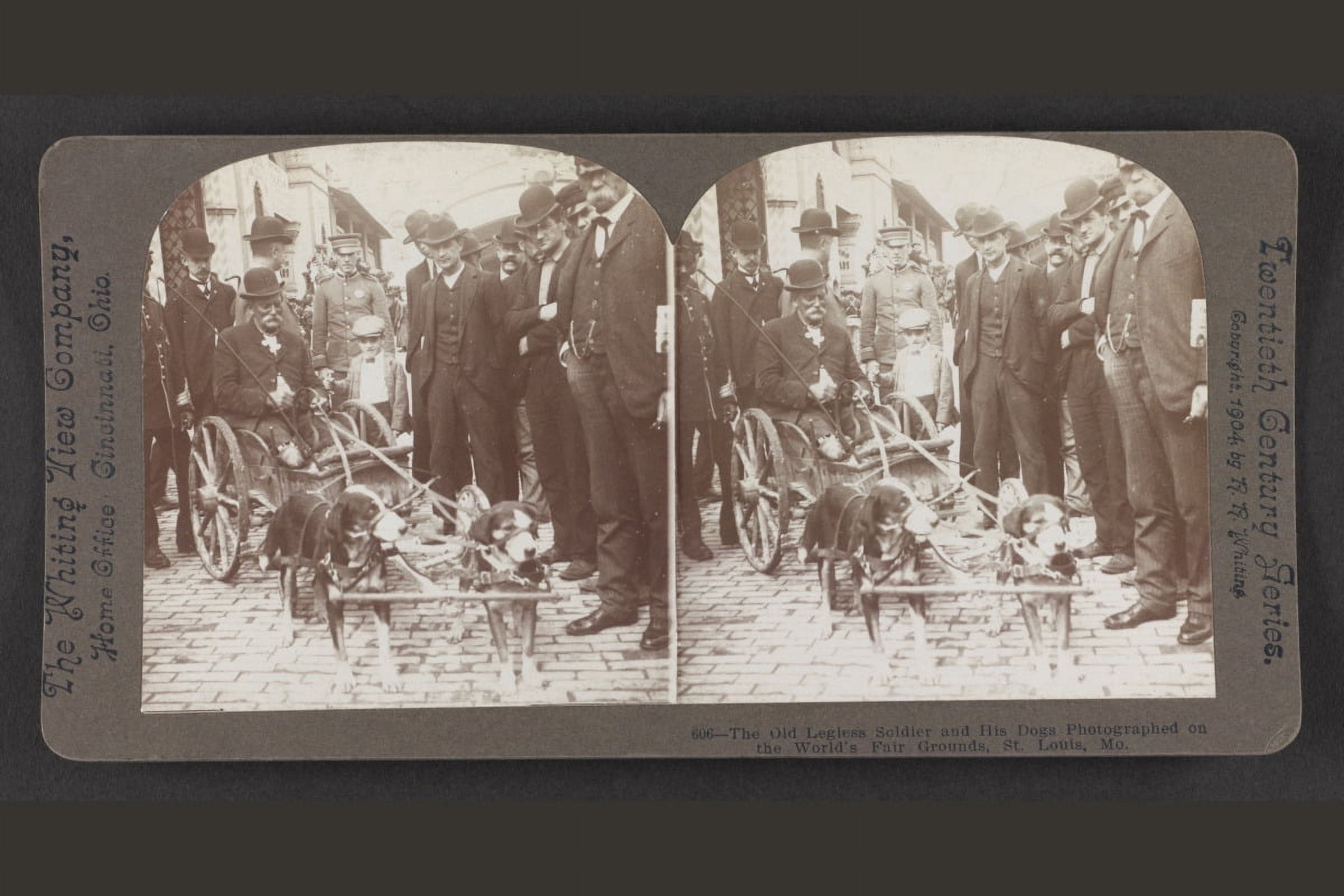 Print: The Old Legless Soldier And His Dogs Photographed On The World's ...