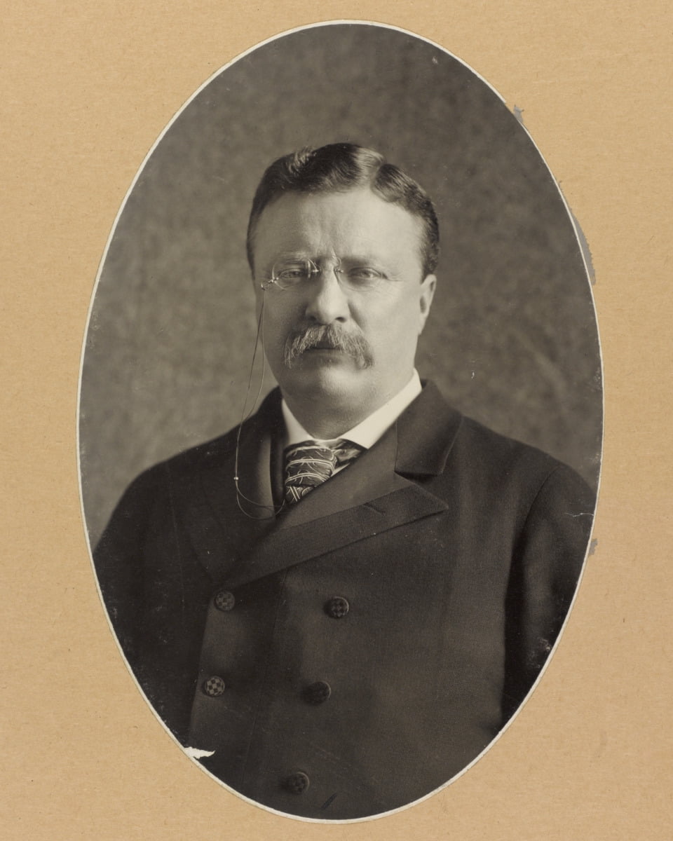 Print: Theodore Roosevelt, 1904 - Walmart.com