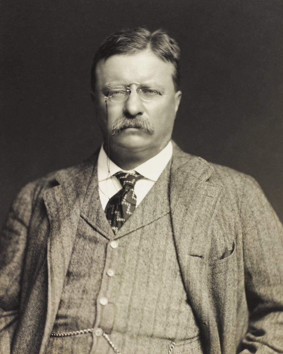 Print: Theodore Roosevelt, Half-Length Portrait, Facing Front, 1911 ...