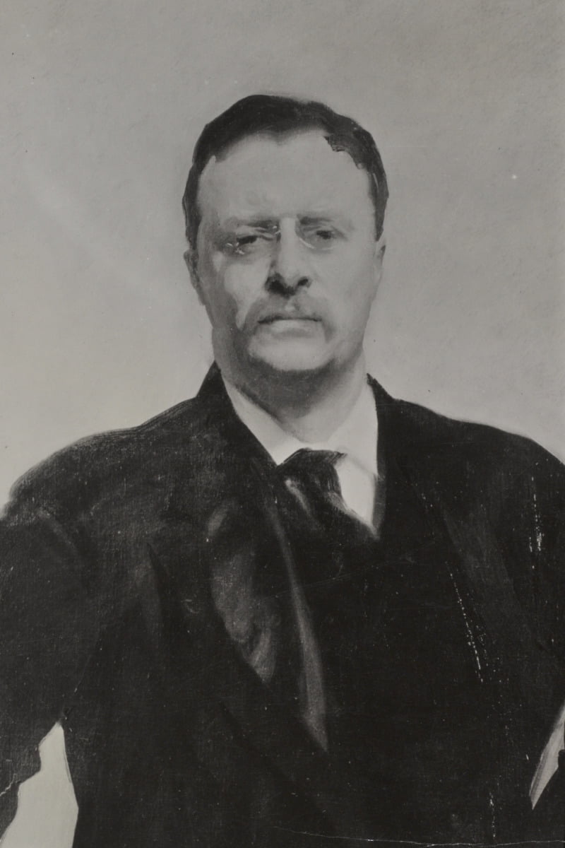 Print: Theodore Roosevelt, Half-Length Portrait, Facing Front, circa ...