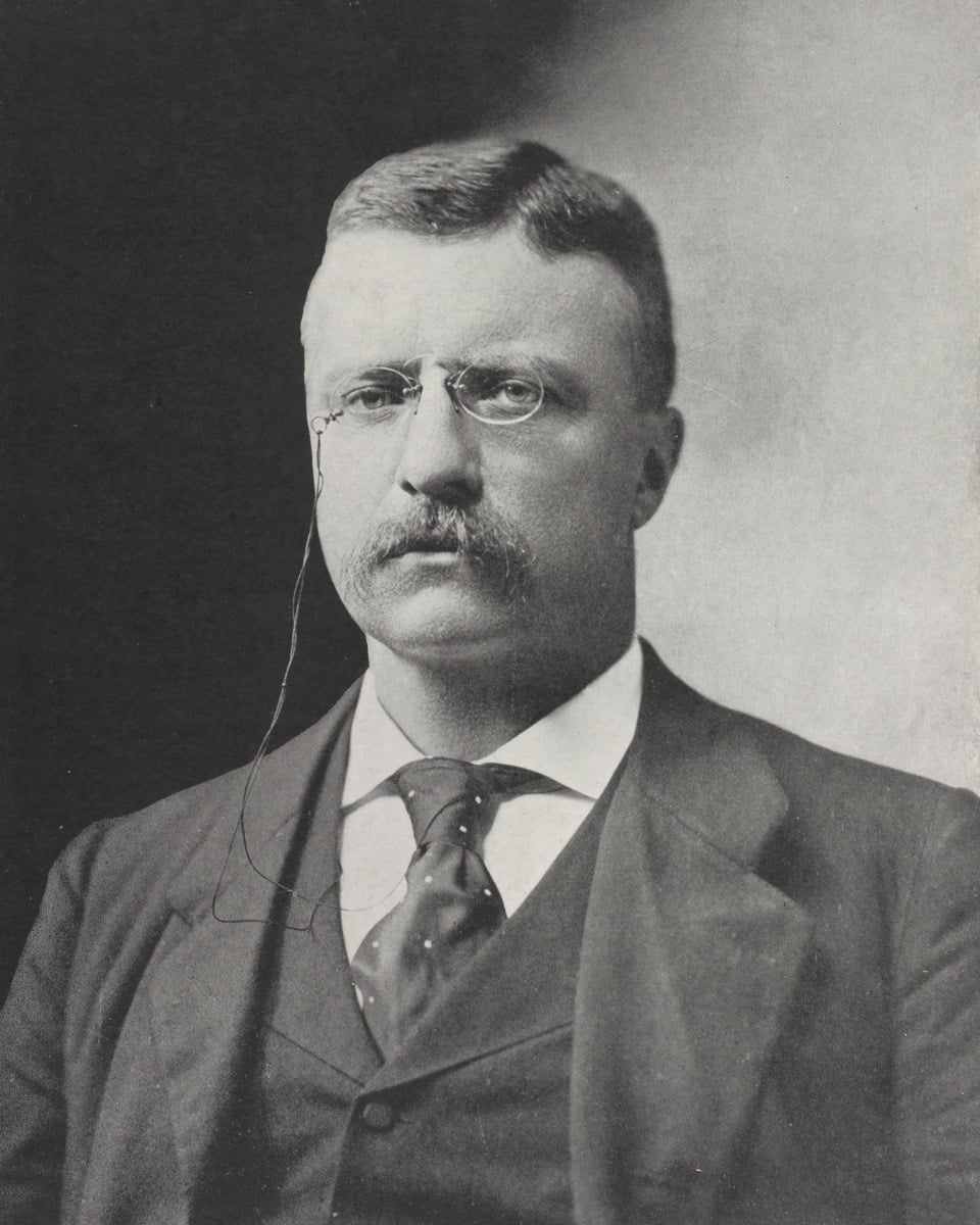 Print: Theodore Roosevelt, Head-And-Shoulders Portrait, Facing Front ...