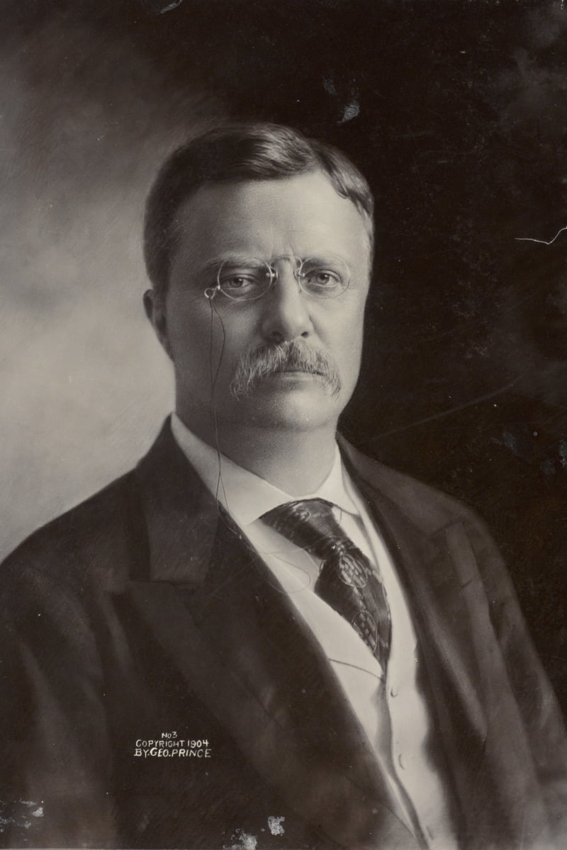 Print: Theodore Roosevelt Portrait, Facing Front, 1904 - Walmart.com