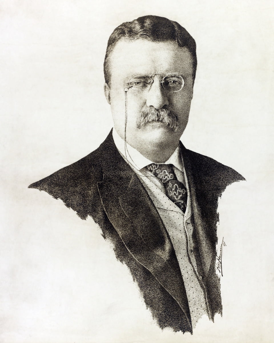 Print: Theodore Roosevelt, Portrait Of Head, Full Face View, 1910 ...