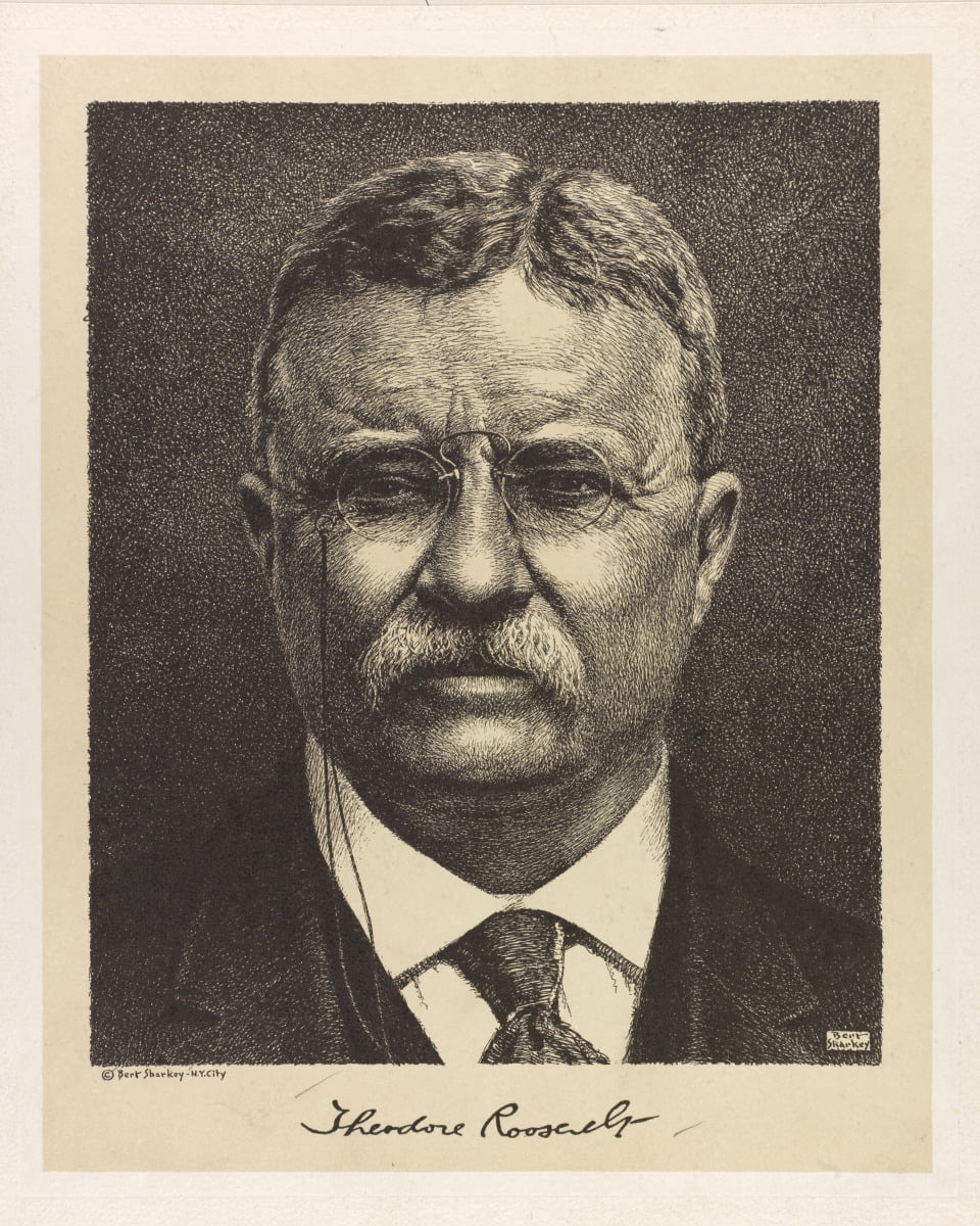 Print: Theodore Roosevelt, Portrait Of Head, Full Face View, 1926 ...